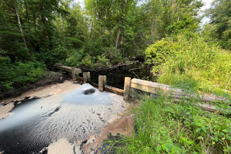 Virginia Once Drained and Dried Peatlands, but Now Eyes Them as Carbon ...