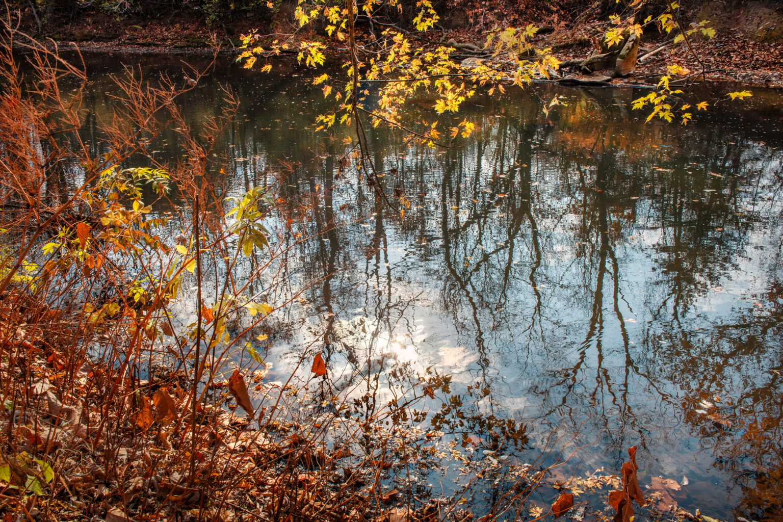 Pollution From a Pennsylvania Landfill Caused Problems for Decades ...