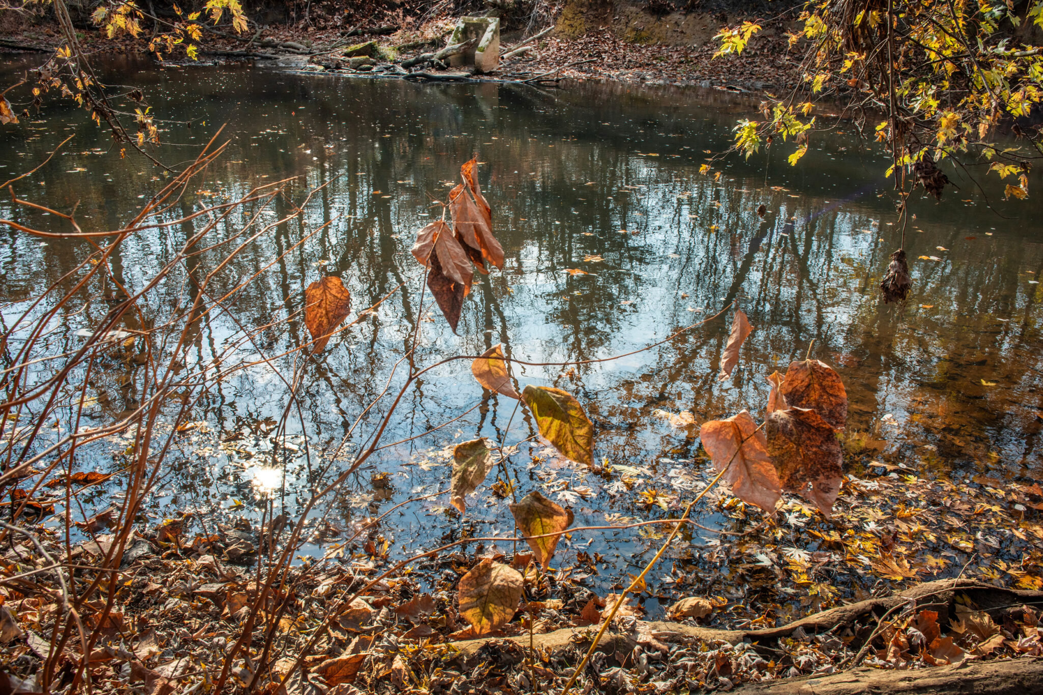 The ‘Horror Story’ of Hazardous Waste in a Small Pennsylvania Town ...