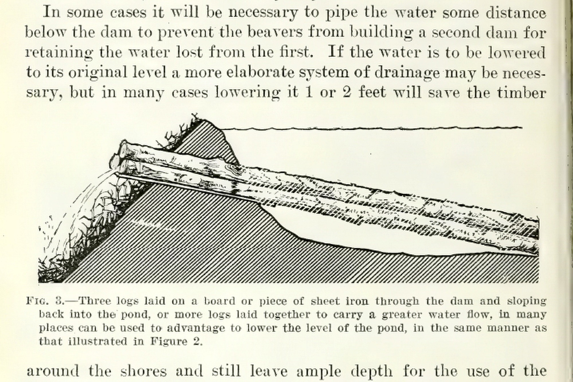 Opting for Coexistence: Some Wisconsin Landowners Learn To Live With ...