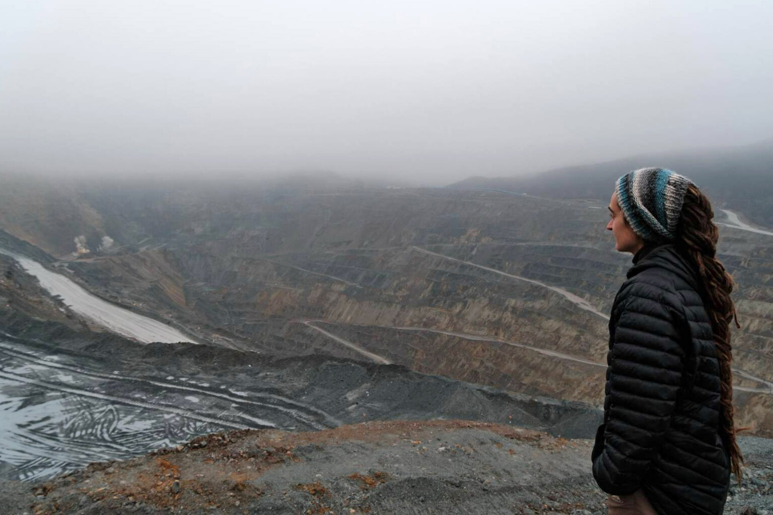 Sweden, an Early Climate Leader, Is Retreating From Its Environmental ...