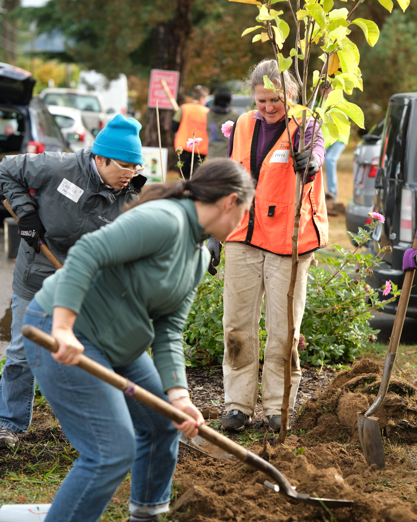 Portland’s Urban Tree Plans May Face a Withering in Federal Funds ...
