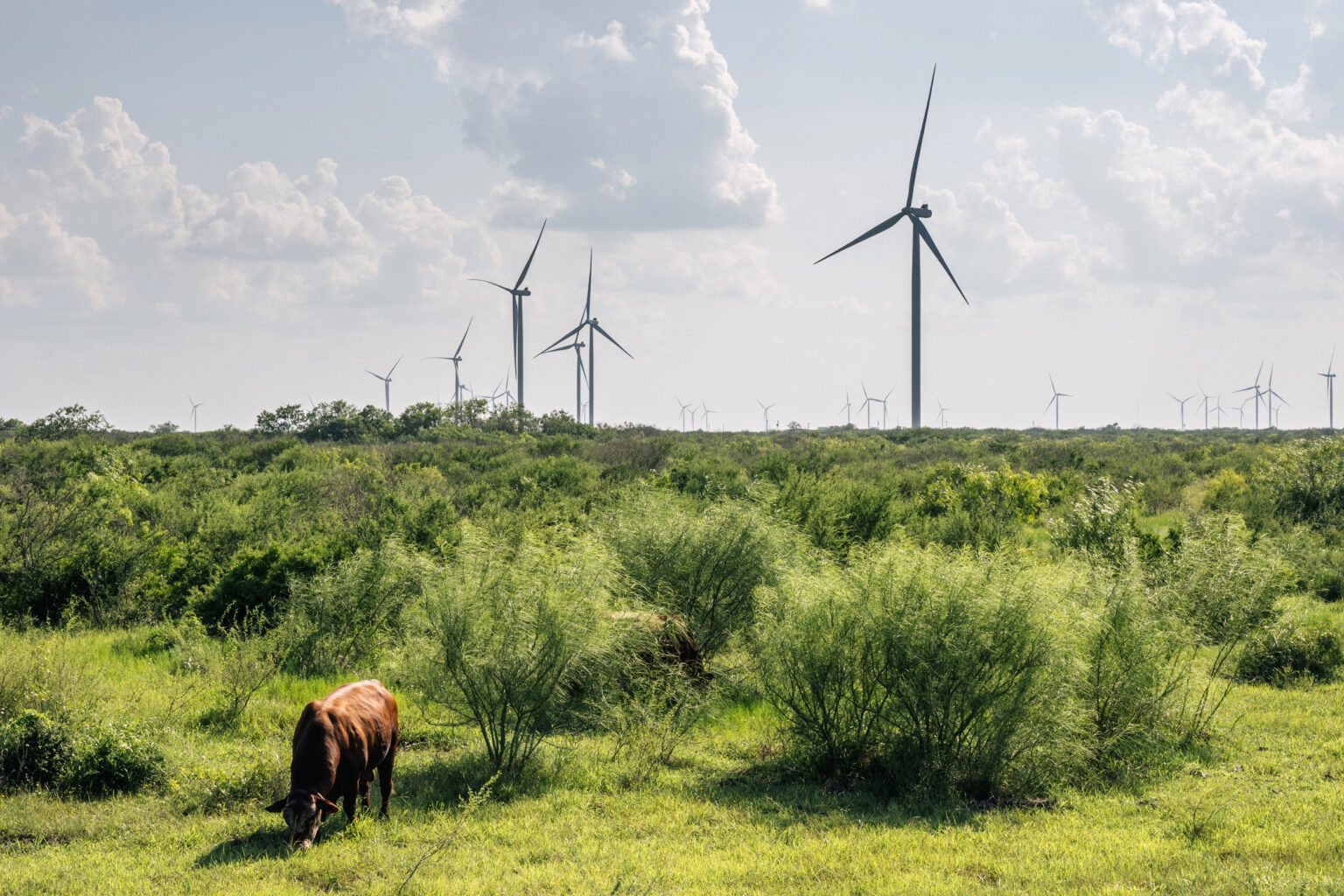 Texas Leads U.S. Renewable Energy Generation by a Country Mile - Inside ...