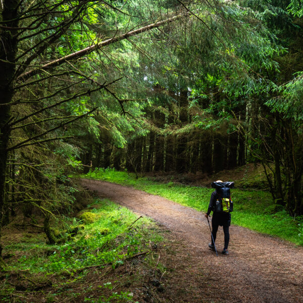 Climate Change Is the Backdrop to Our Lives, But It’s Missing in Movies ...