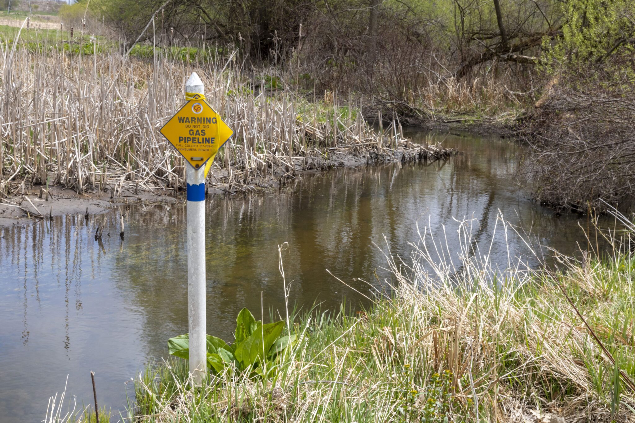 Earth’s Wetlands Are Disappearing and Global Efforts to Save Them Are ...