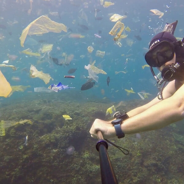 Deadly in Small Doses: New Research Shows the Lethal Effects of ...