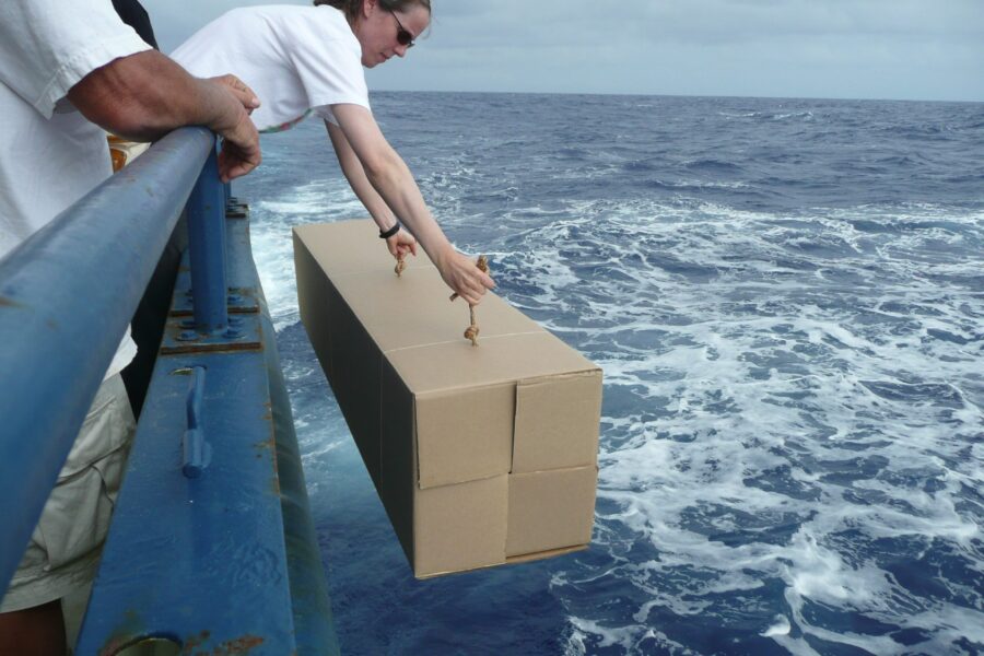 A Historic and Devastating Drought in the Amazon Was Caused by Climate ...