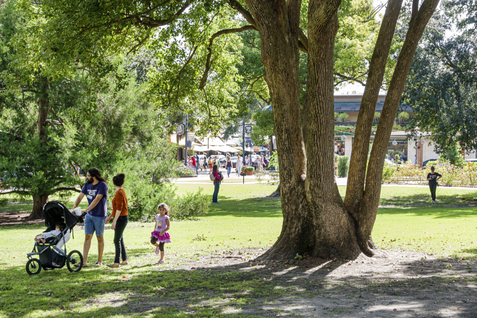 Rising Seas and Land-Based Salt Pollution Pose Dual Threats for ...