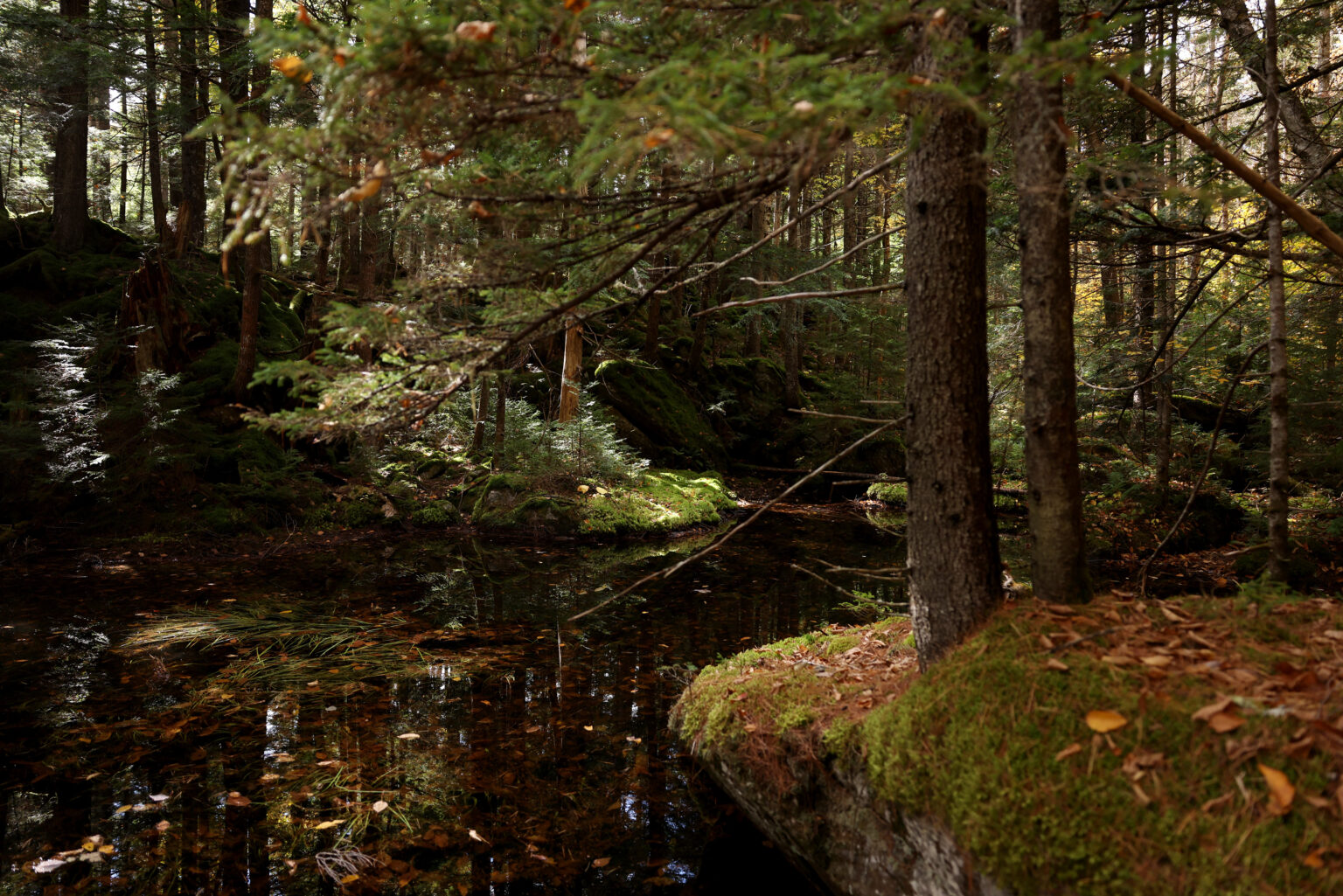 The Trump Administration Issues Its Next Assault on the Nation’s Public ...