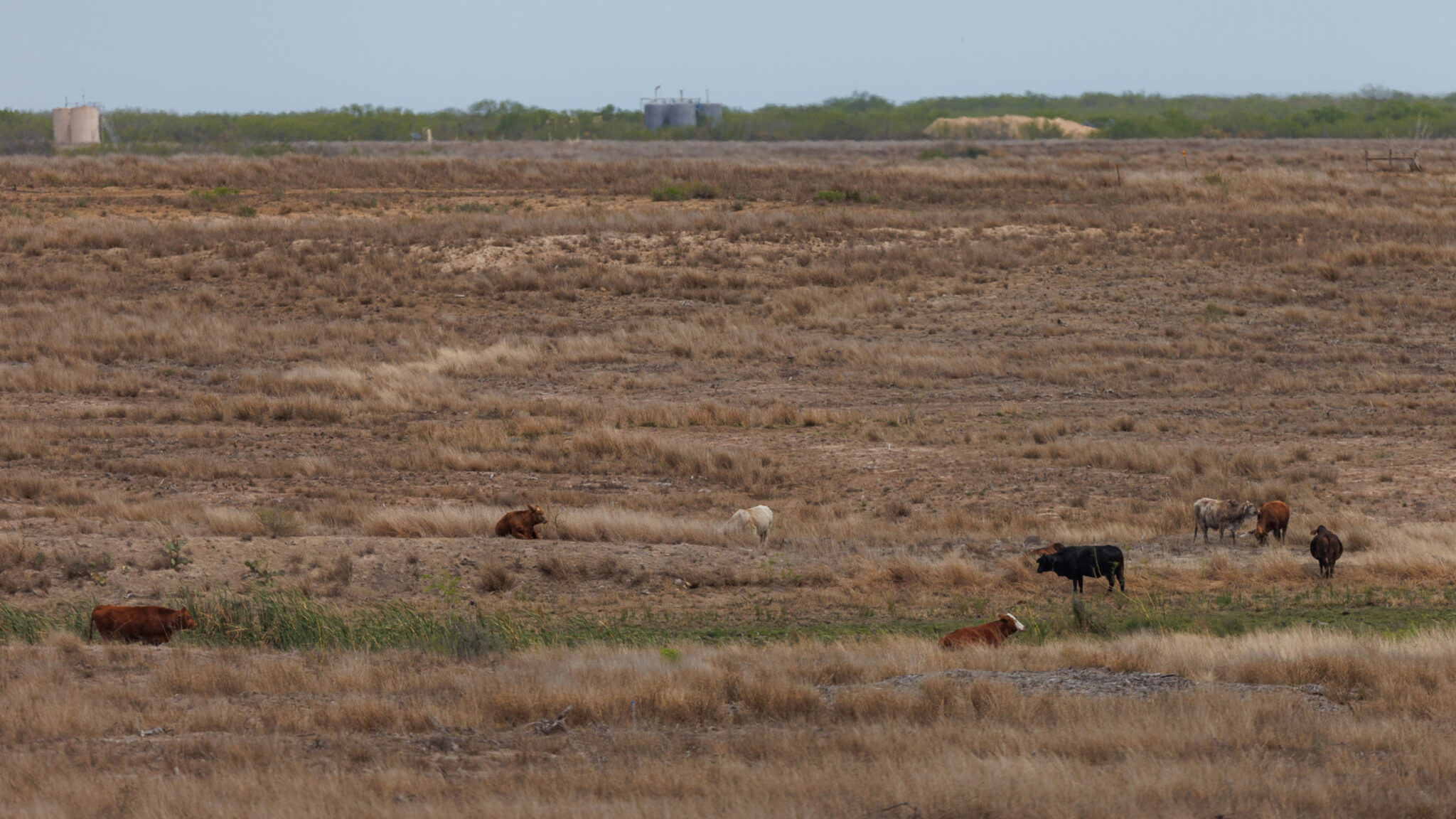 South Texas Developers Make a Sales Pitch to Sell Groundwater. Will ...