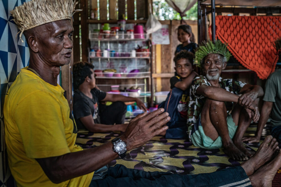 The Malayan Tiger Is at a Tipping Point, With Increasing Deaths of Both ...