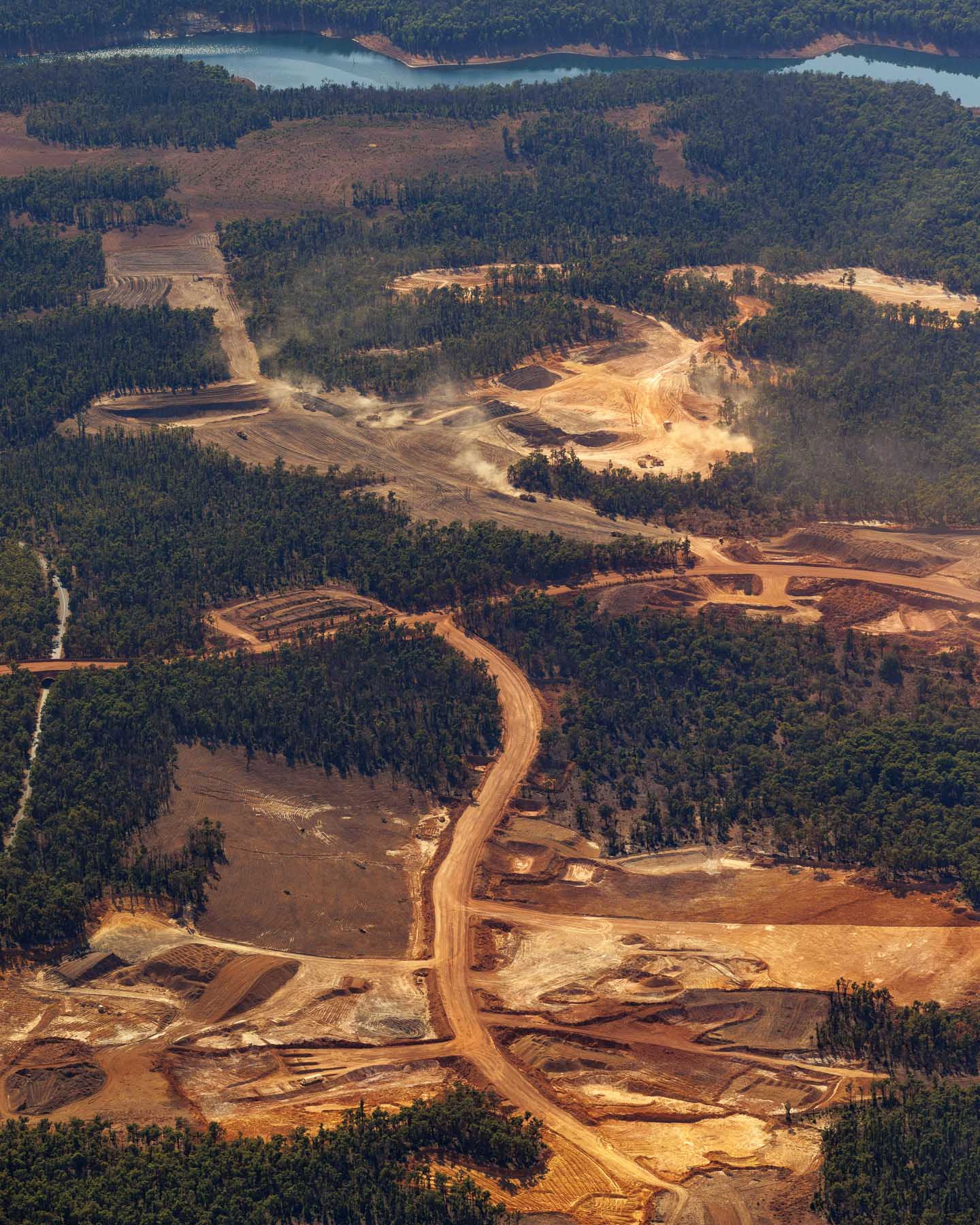 How Pittsburgh’s Alcoa Is Undermining a Rare Forest To Fuel Its Global ...