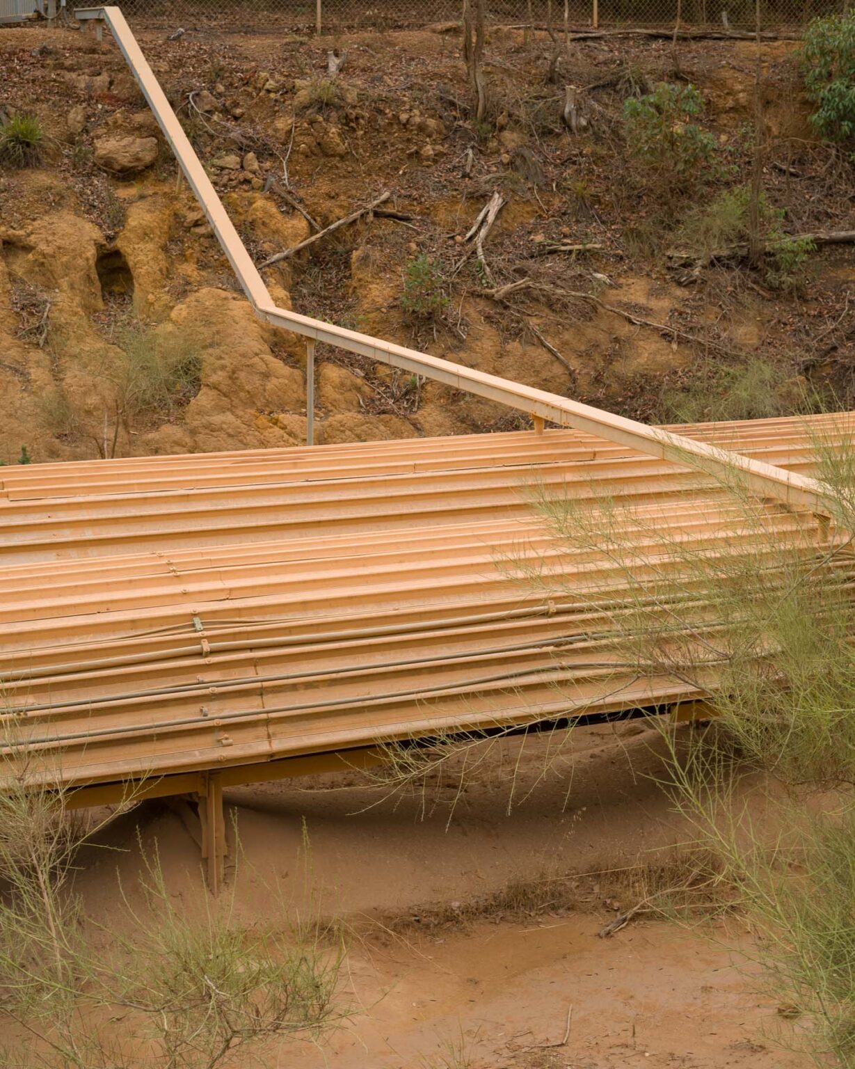 How Pittsburgh’s Alcoa Is Undermining a Rare Forest To Fuel Its Global ...