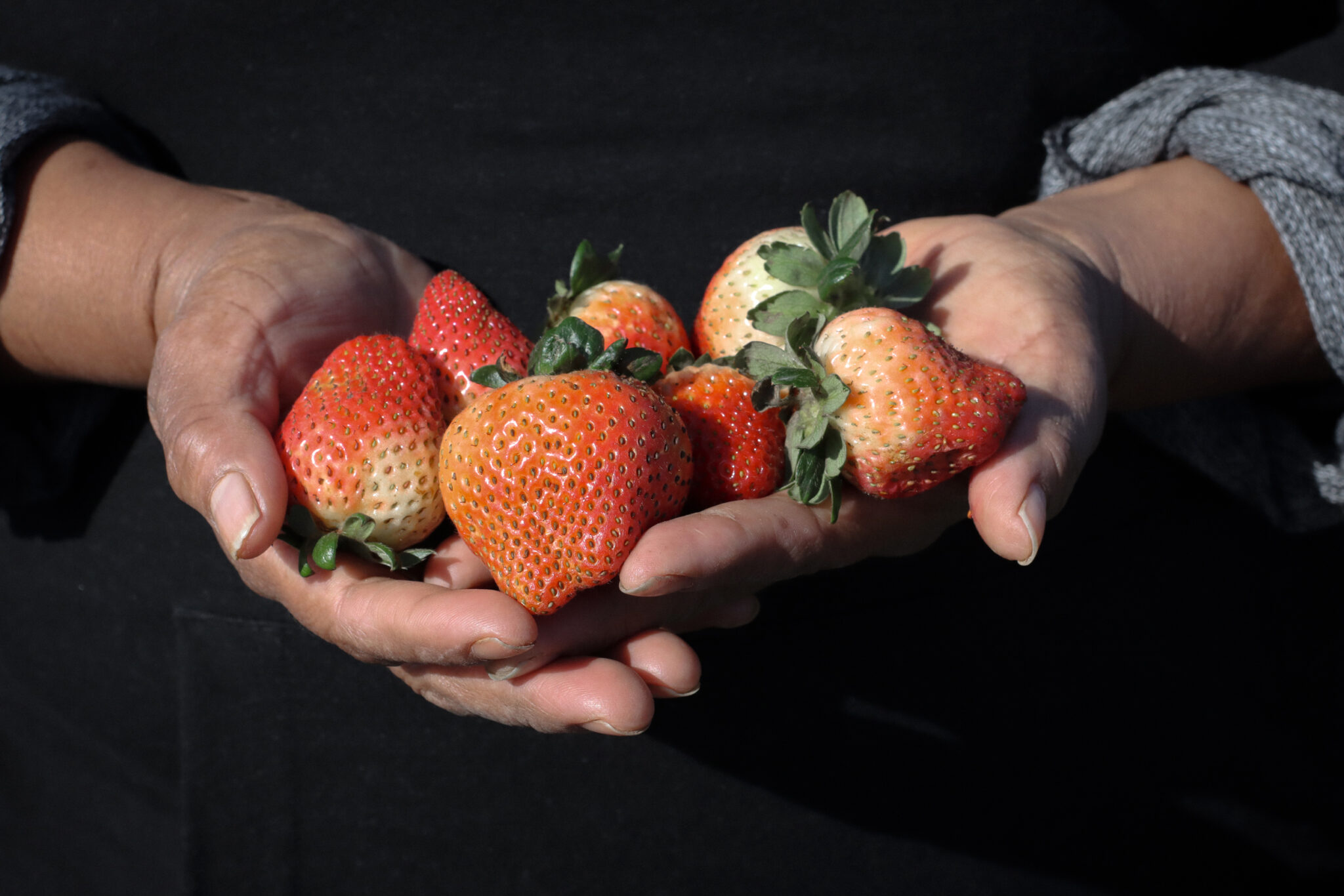 In California, Flawed Air Rules Threaten Farmworkers as Wildfires Pump ...