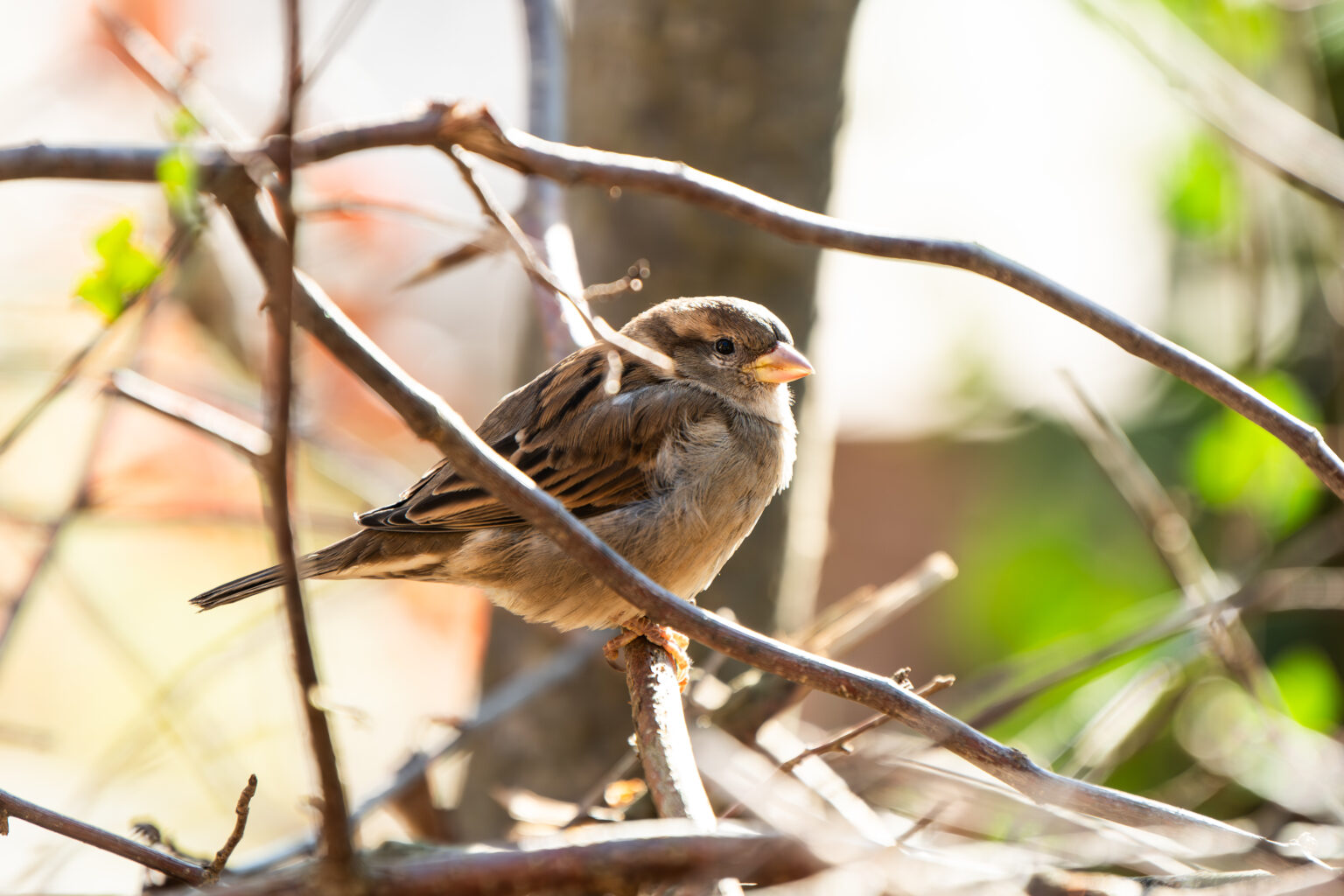 The Earth’s Colors Are Changing—and Climate Change Could Be Partially ...