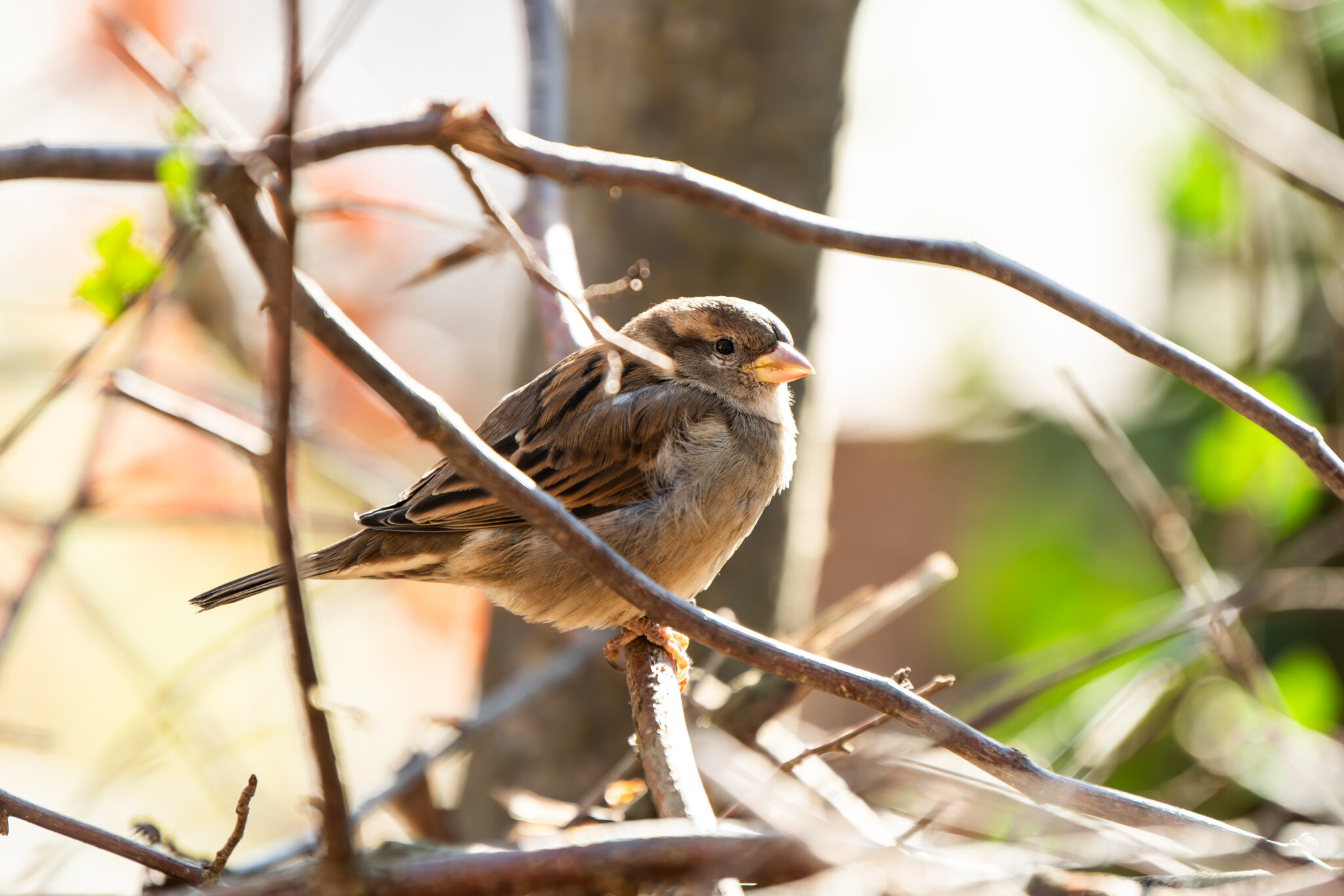 The Earth’s Colors Are Changing—and Climate Change Could Be Partially ...