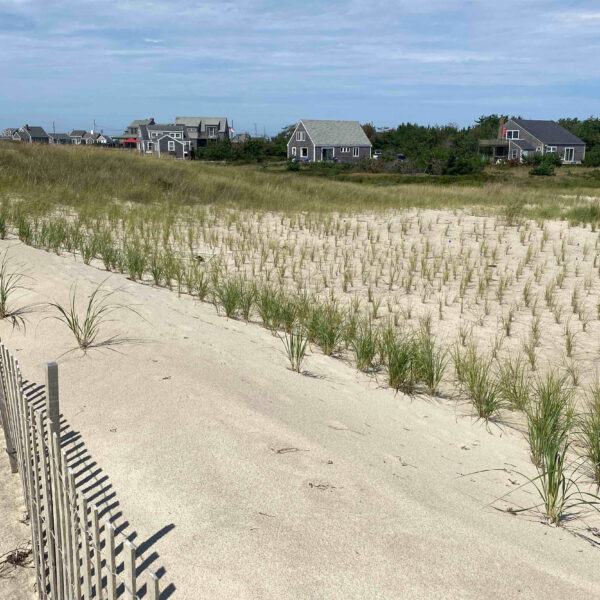 Massachusetts Coastal Zone Management Unveils 50-Year Plan to Protect ...