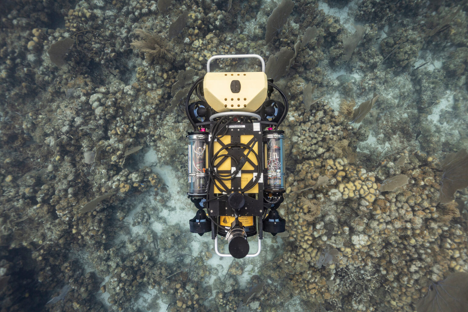 The Race to Engineer Coral Reef Solutions in the U.S. Virgin Islands ...