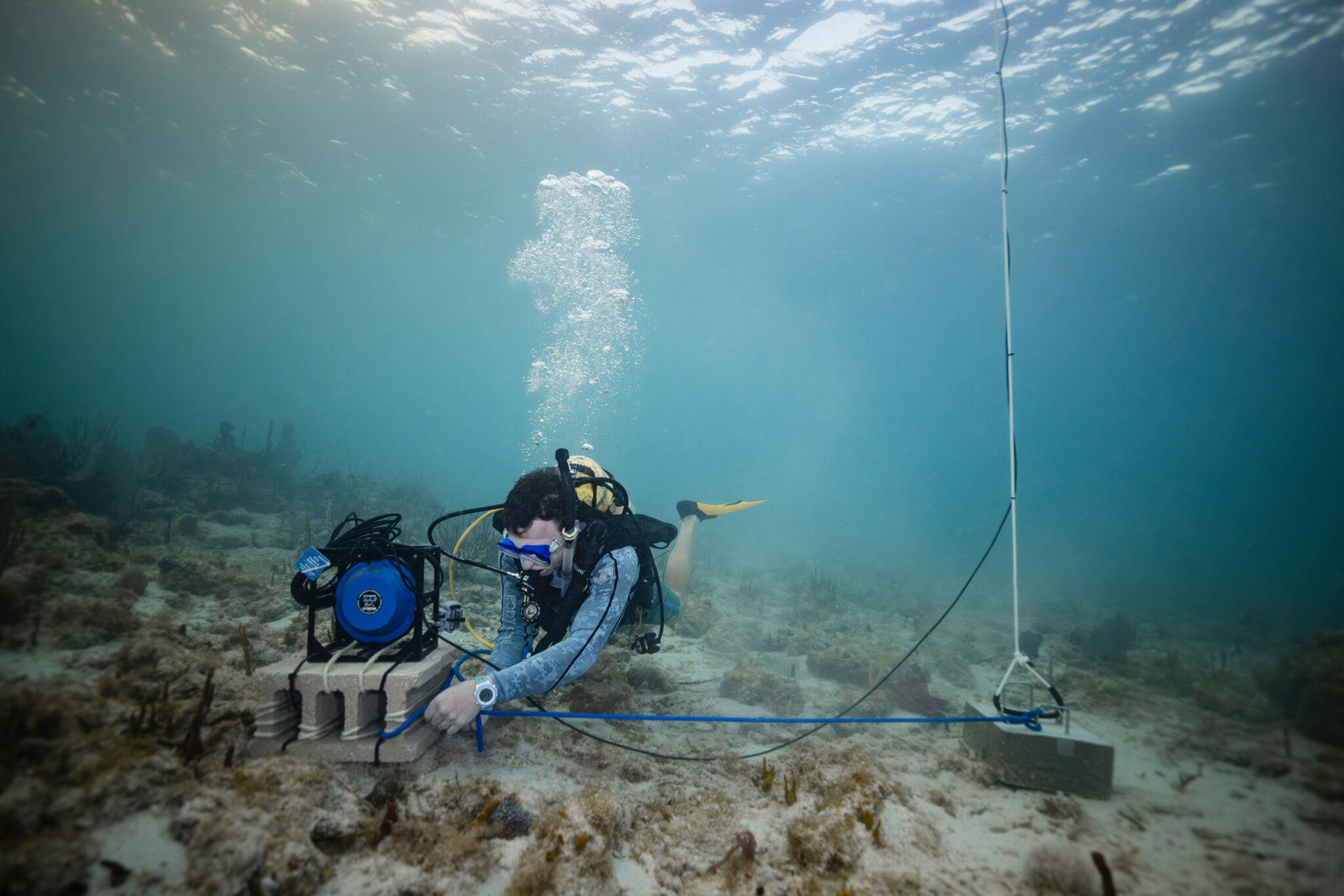 The Race to Engineer Coral Reef Solutions in the U.S. Virgin Islands - Inside Climate News