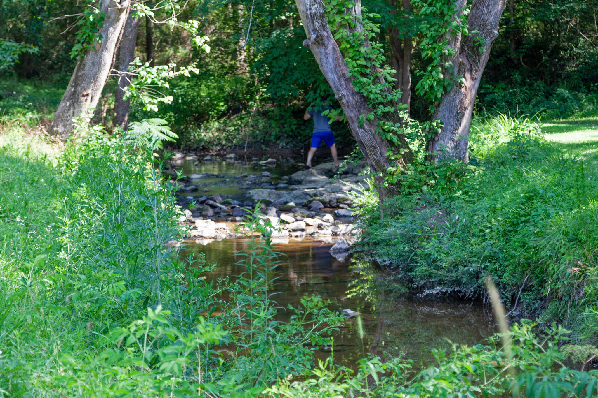 N.C. Has Allowed a Likely Carcinogen Into Three Rivers Serving 900,000 ...
