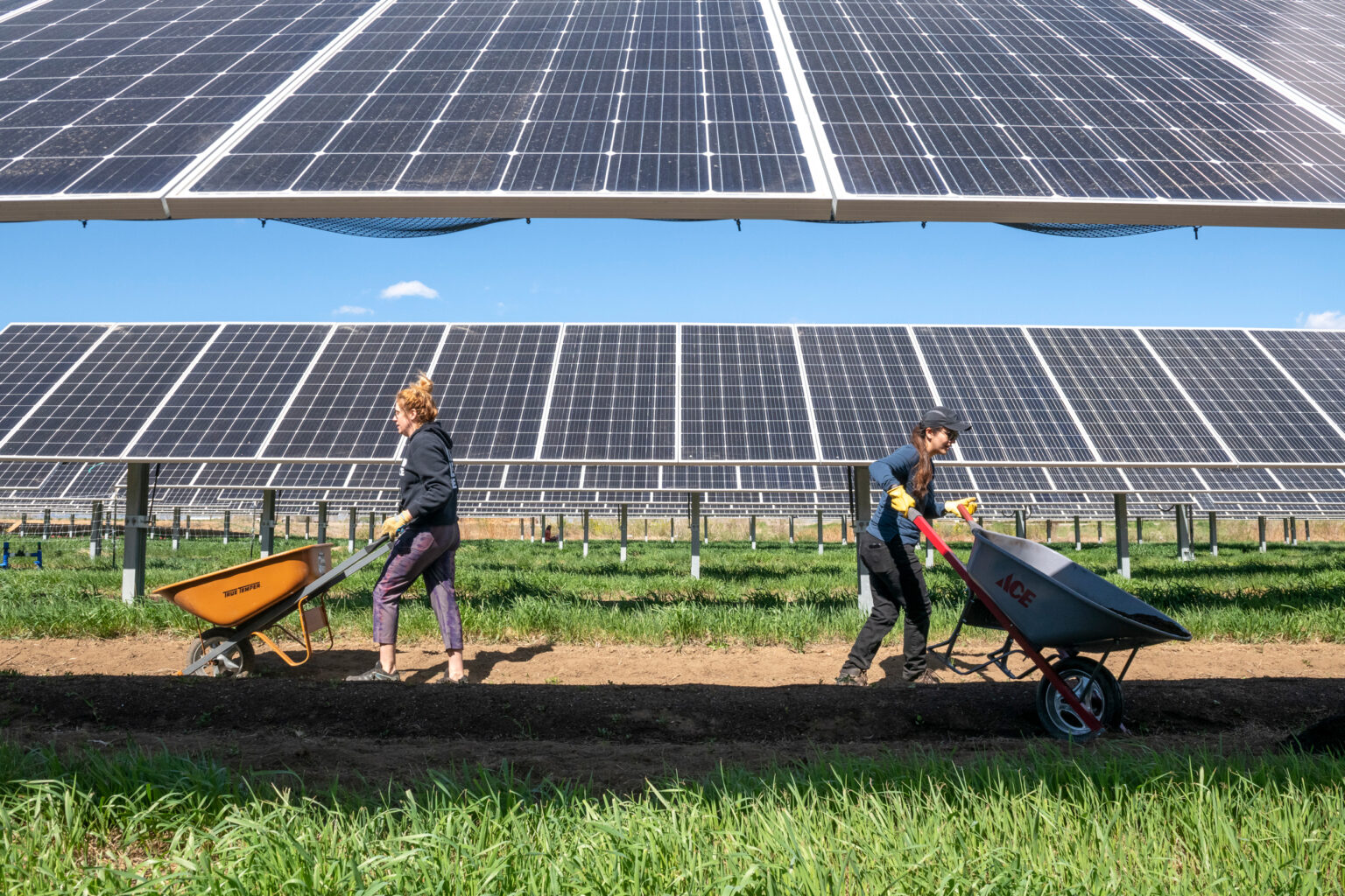 In the Sweltering Southwest, Planting Solar Panels in Farmland Can Help ...