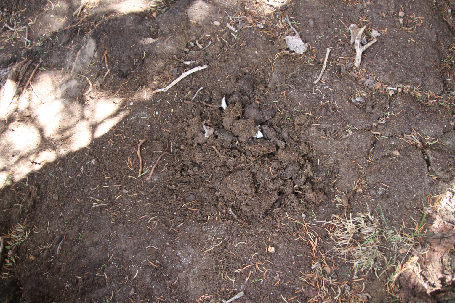 Wyoming’s Crowded Lonesome Lake Tops EPA’s National Survey for Fecal ...