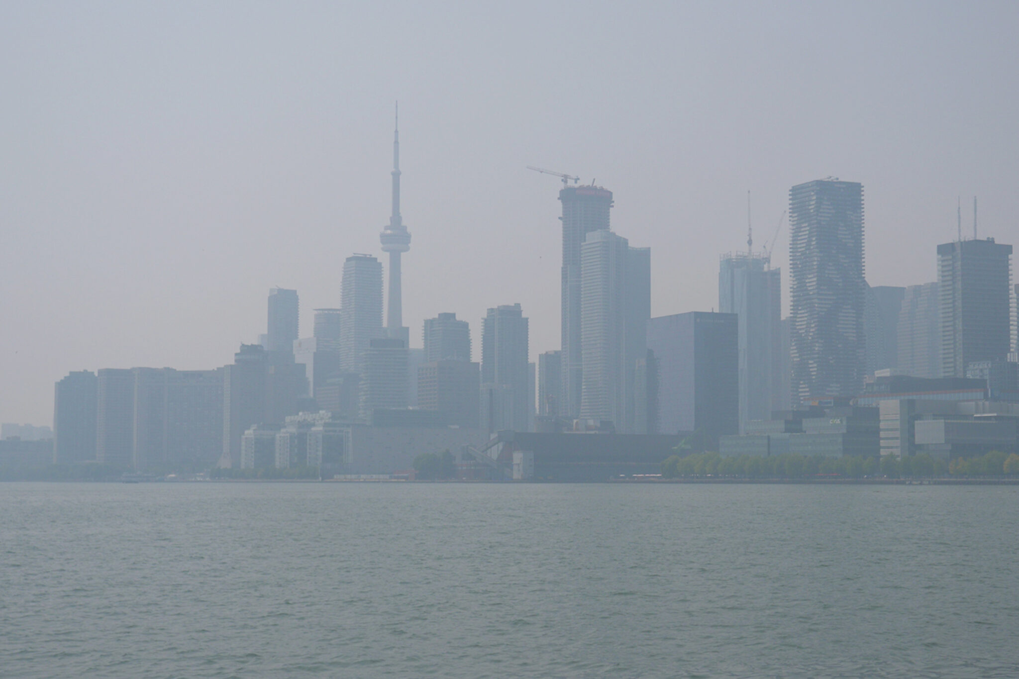 Joe Rogan Is Fueling Climate Misinformation on TikTok, Watchdogs Warn ...