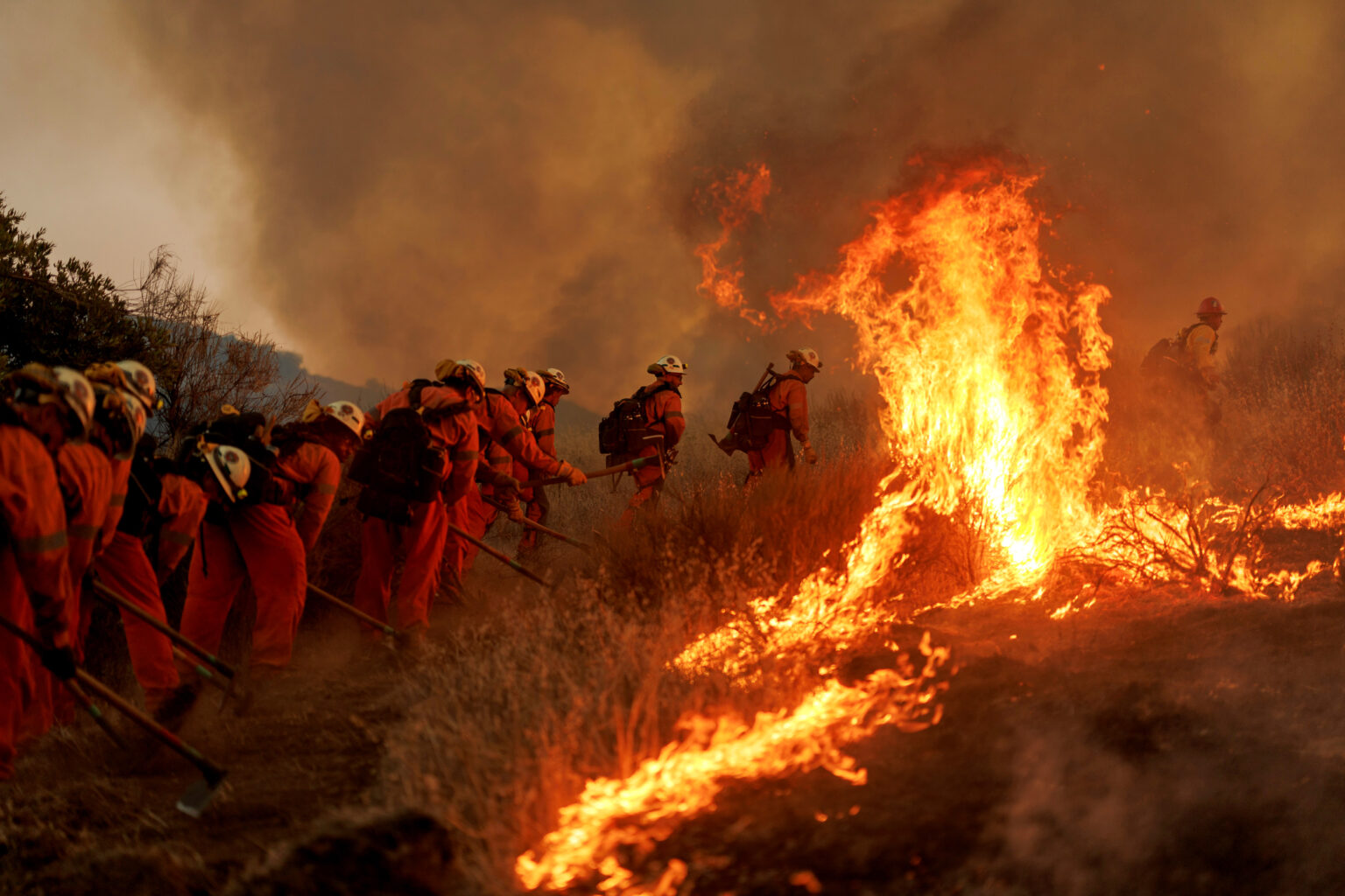 Canyon Wildfire in Los Angeles Forces Thousands to Evacuate - Inside ...