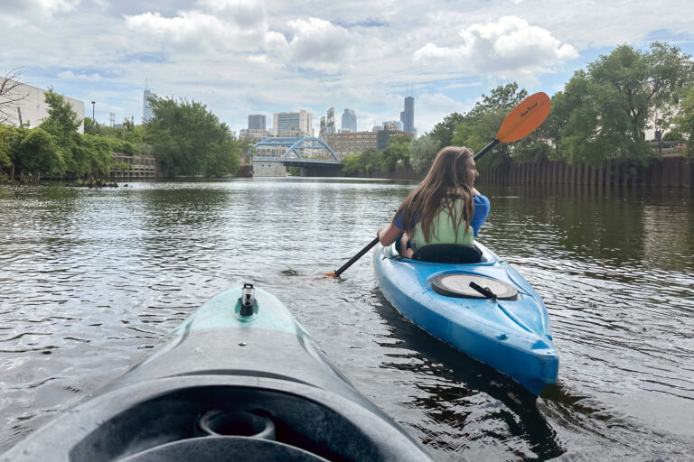 In the Once Heavily Polluted Chicago River, More Fish, a Giant Snapping ...