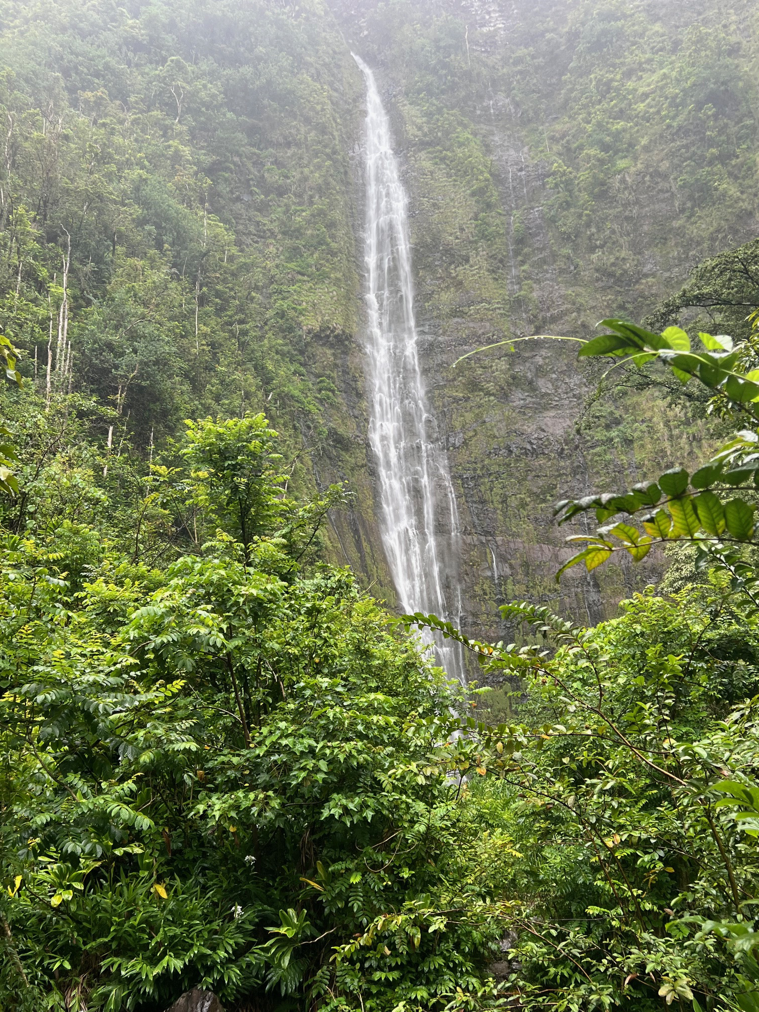 Changes in Nature’s Symphony Can Reflect Climate Impacts - Inside ...