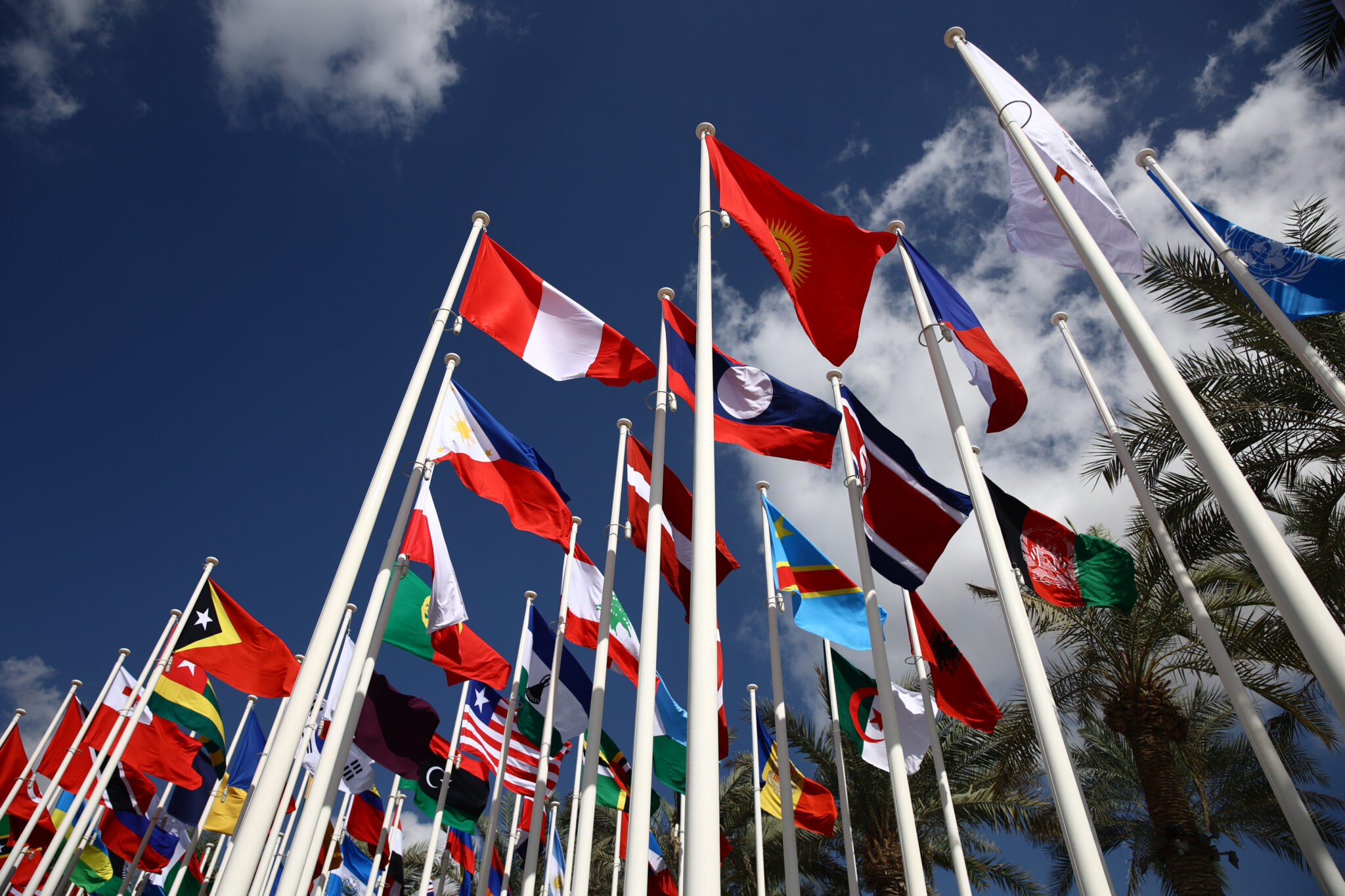 The Climate and Biodiversity Knowledge We Lose When Everything’s in ...