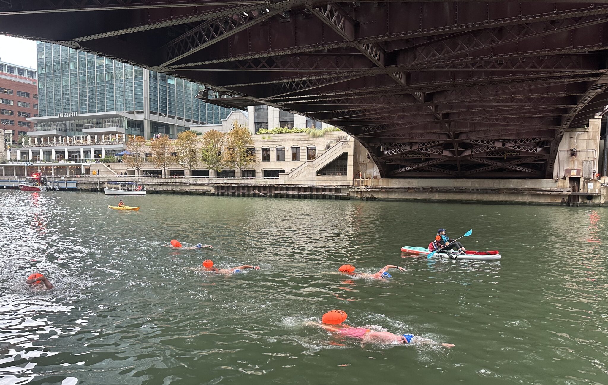 ‘A Really Monumental Day’ for Chicago River: Clean Enough for Hundreds ...