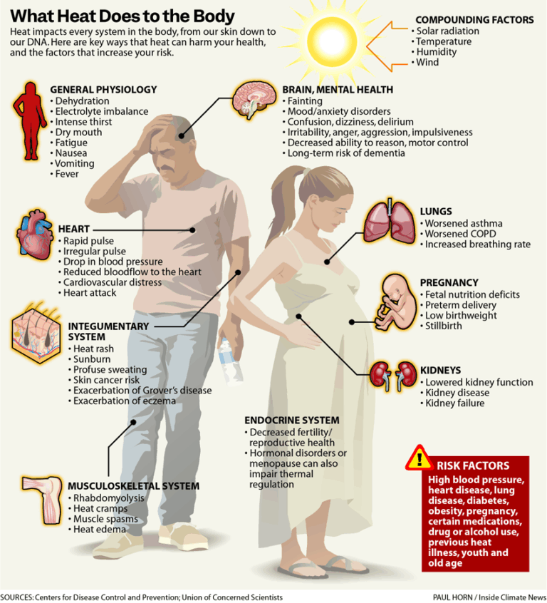 What Extreme Heat Is Doing to Your Body - Inside Climate News