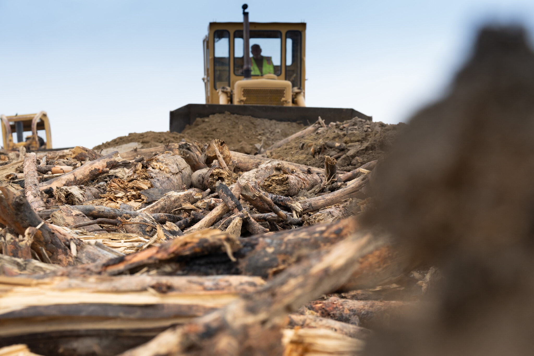 Is Burying the Trees Killed by Wildfires a Climate Solution? - Inside ...