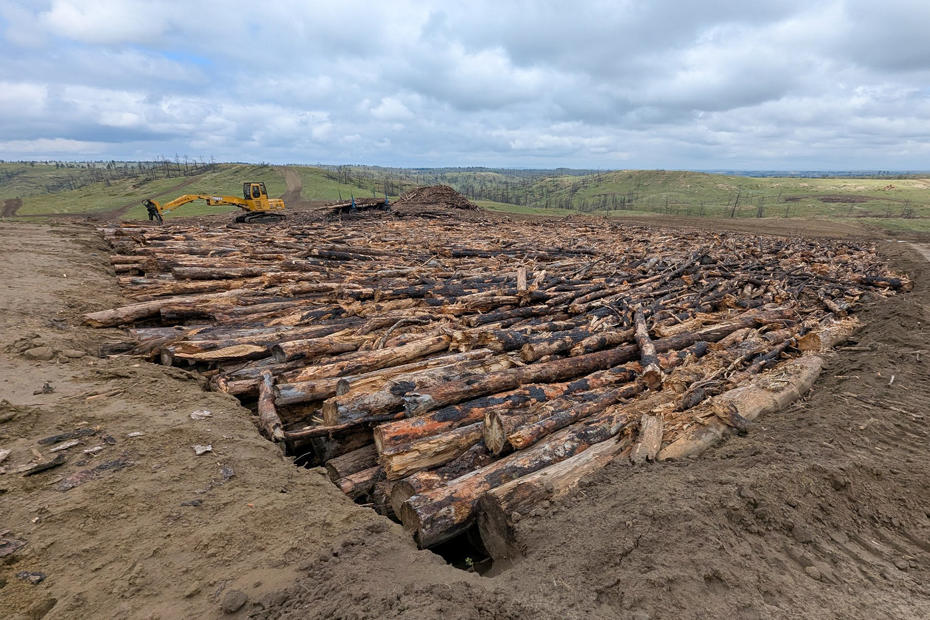 Is Burying the Trees Killed by Wildfires a Climate Solution? - Inside ...