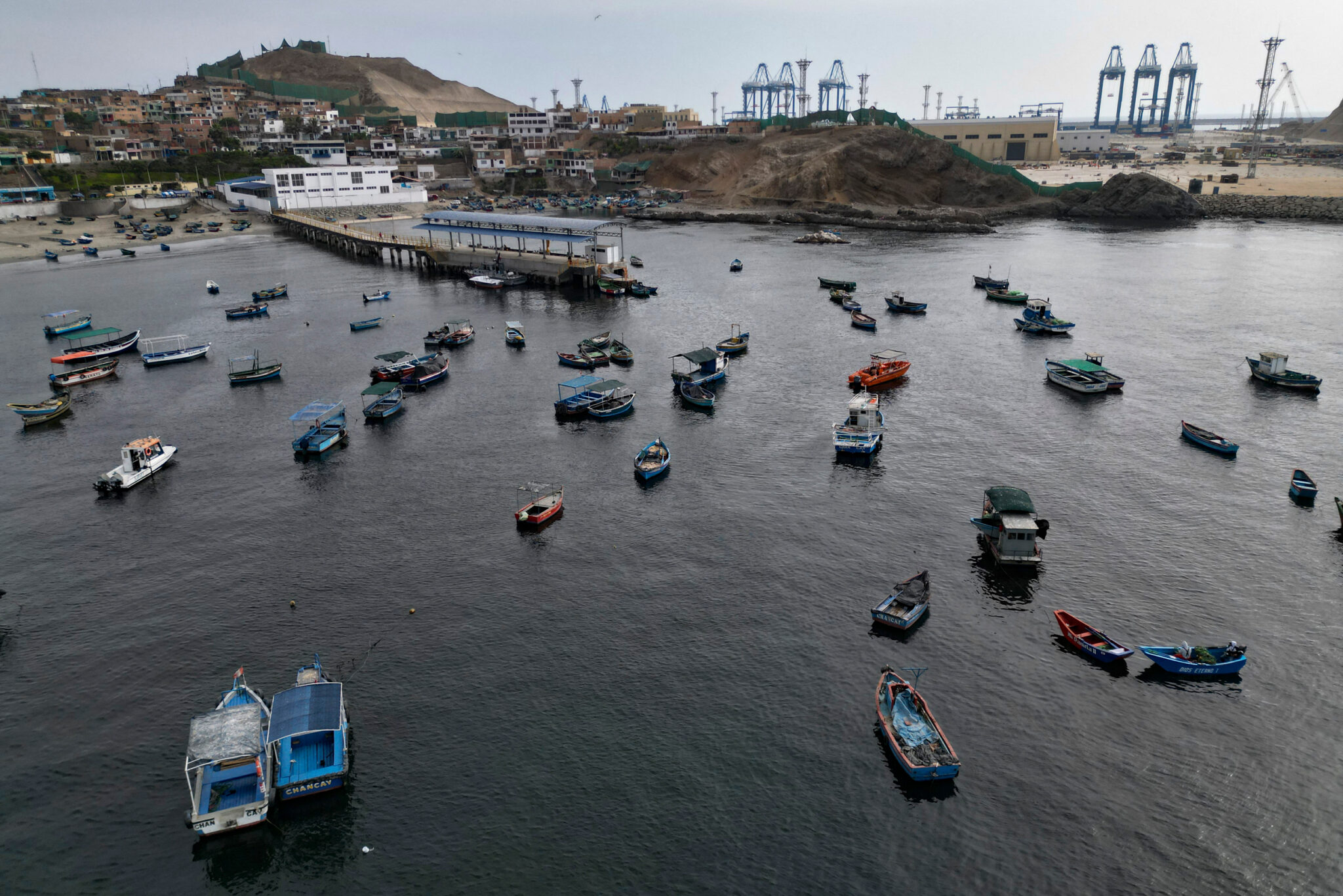 A Massive, Chinese-Backed Port in Peru Could Push the Amazon Rainforest ...