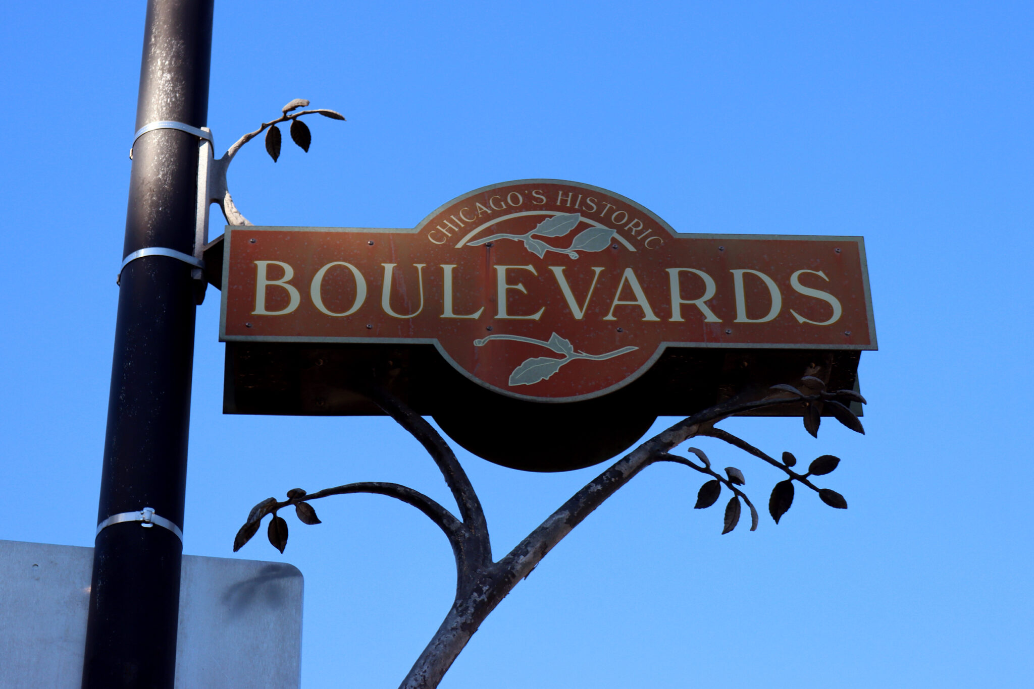 What Chicago’s Boulevards Reveal about Community, Climate Change and ...