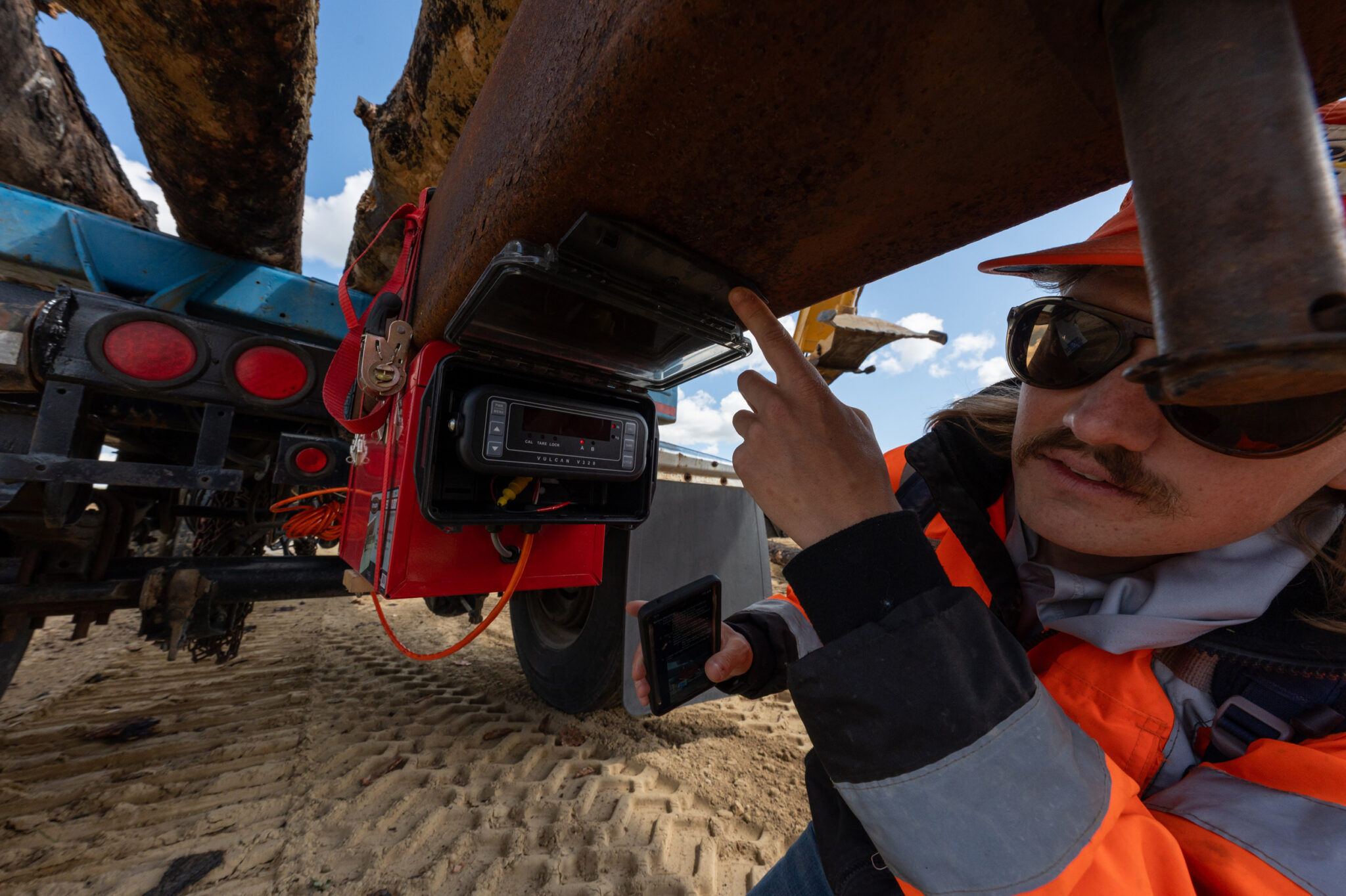 Is Burying the Trees Killed by Wildfires a Climate Solution? - Inside ...
