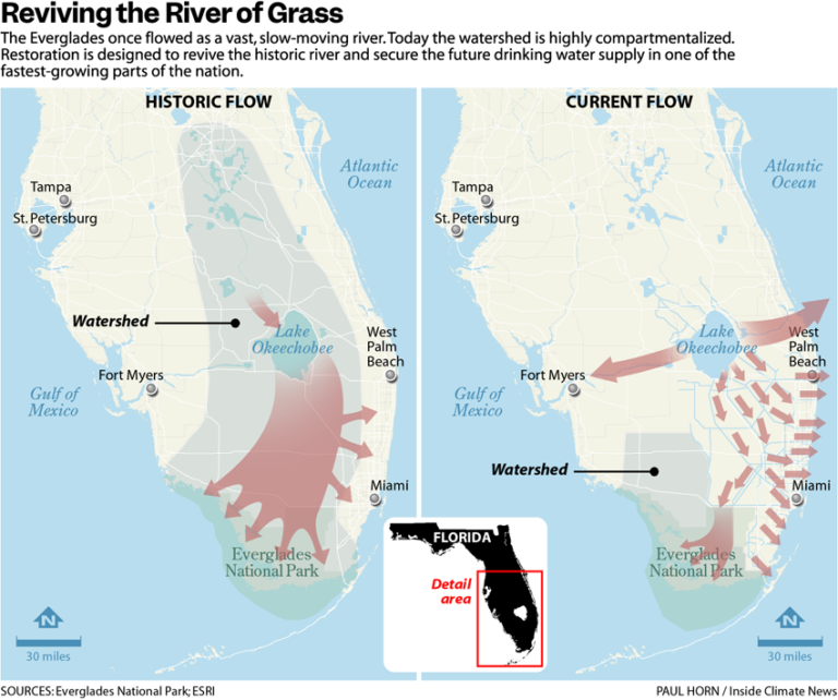 Now in its 25th Year, a Historic Effort to Save the Everglades Evolves ...