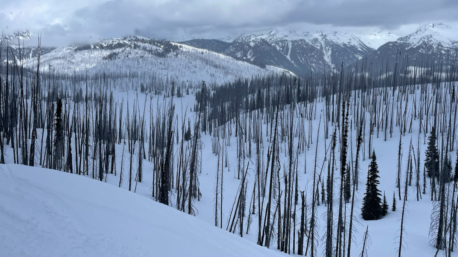 In Burned Forests, the West’s Snowpack Is Melting Earlier - Inside ...