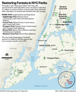 New York City’s Forests Are Ailing. New Funding May Get at the Root of ...