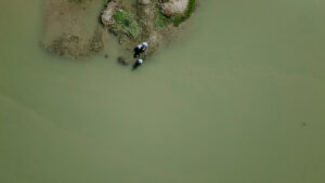 The Big Bet to Fix the Rio Grande Sewage Problem - Inside Climate News