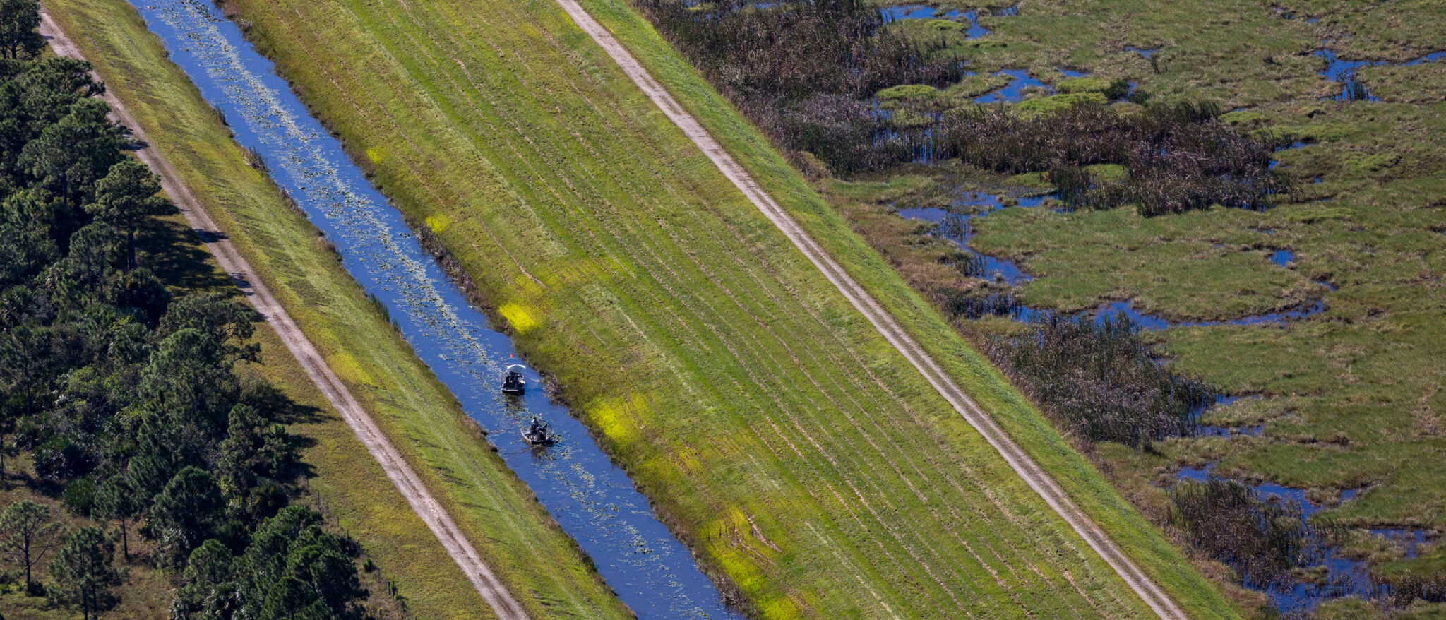 Now in its 25th Year, a Historic Effort to Save the Everglades Evolves ...