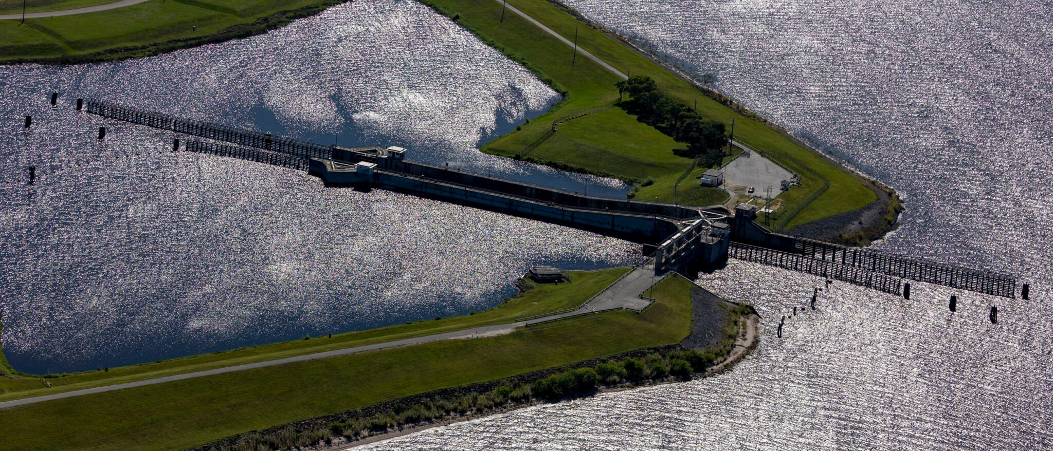 Now in its 25th Year, a Historic Effort to Save the Everglades Evolves ...