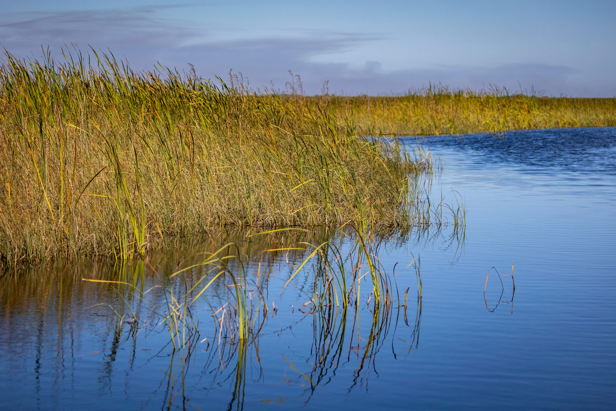 Now in its 25th Year, a Historic Effort to Save the Everglades Evolves ...