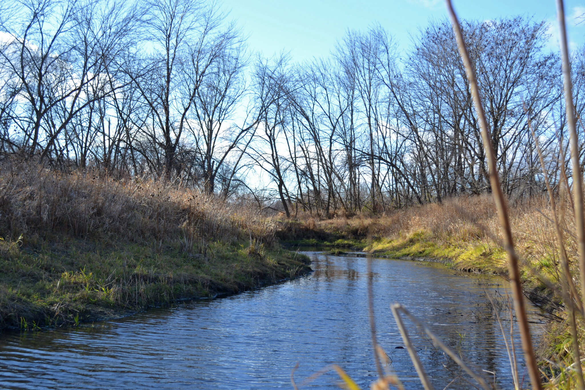 To Save An Endangered Prairie Fish, Dried-up Iowa Wetlands Get New Life ...