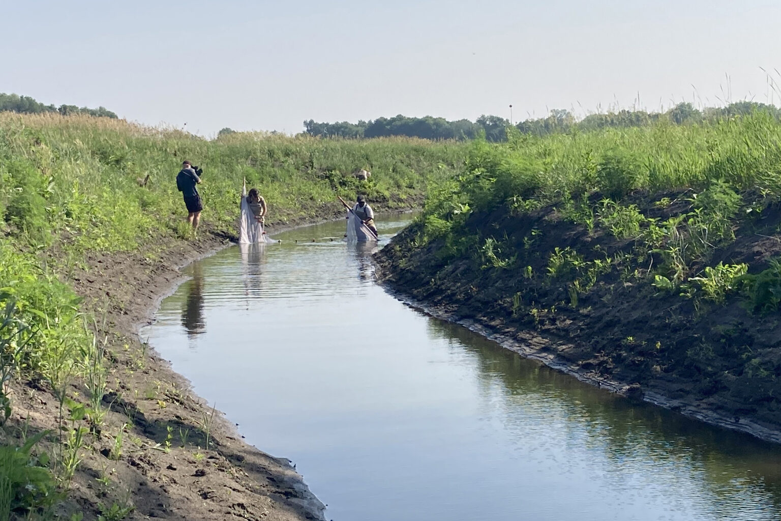 To Save An Endangered Prairie Fish, Dried-up Iowa Wetlands Get New Life ...