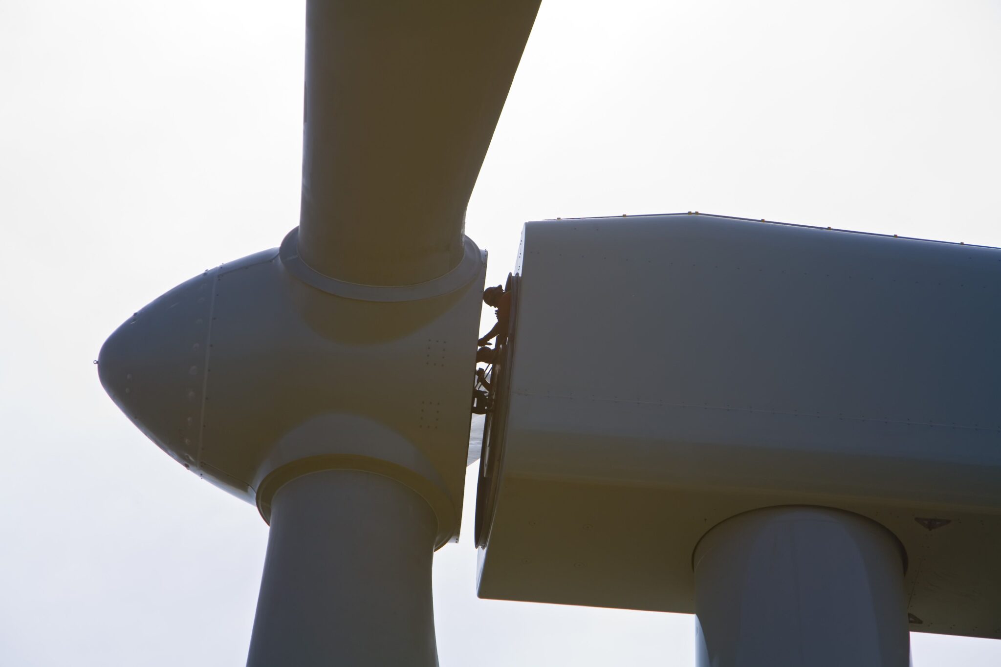 Federal Court Allows Dominion Energy in Virginia to Continue Offshore ...