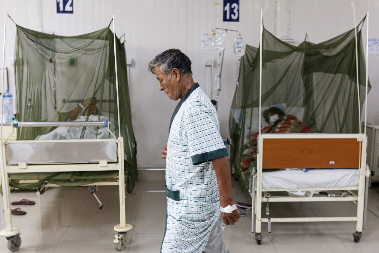 A New Study Links a Record-Breaking Tropical Disease Outbreak in Peru ...