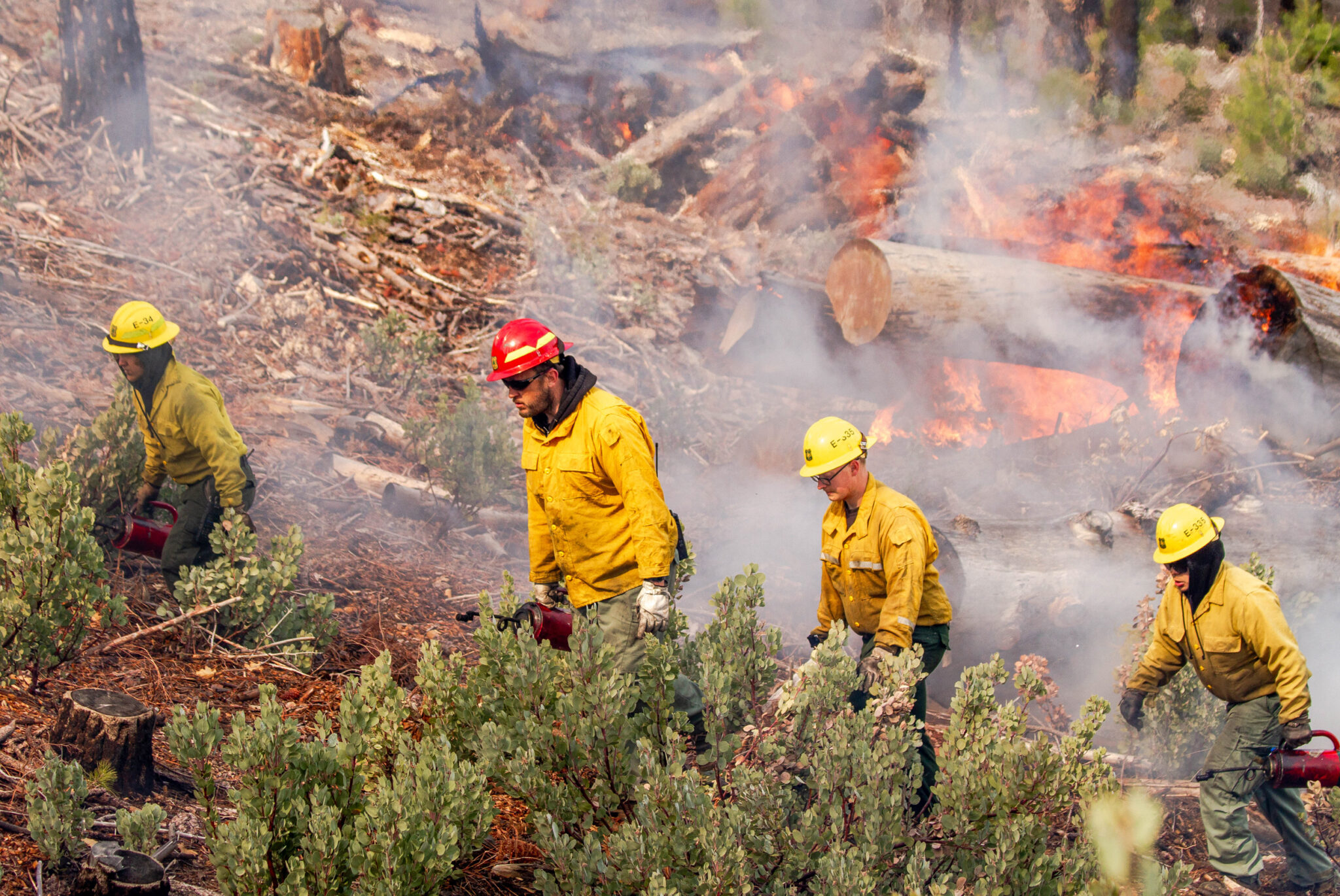 Forest Service Shake-Up Comes As Risky Wildfire Season Looms - Inside ...